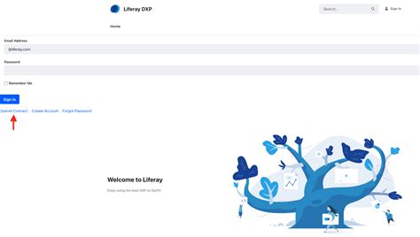 is it possible to offer both saml and oidc as sso options liferay