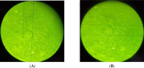 Figure 4 From The Microhardness And Surface Roughness Assessment Of