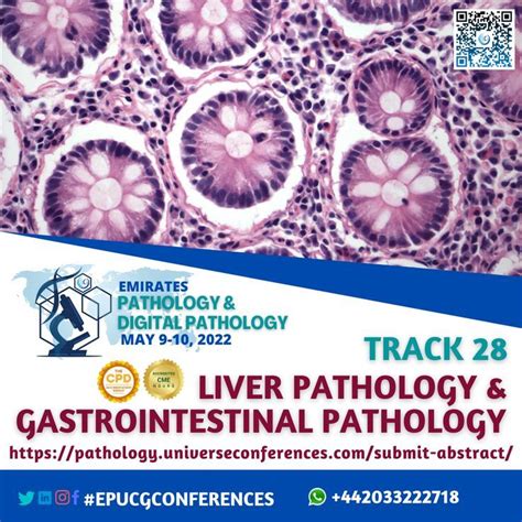 Gynaecological Pathology Uropathology Pathology Utilitarian Conference Artofit