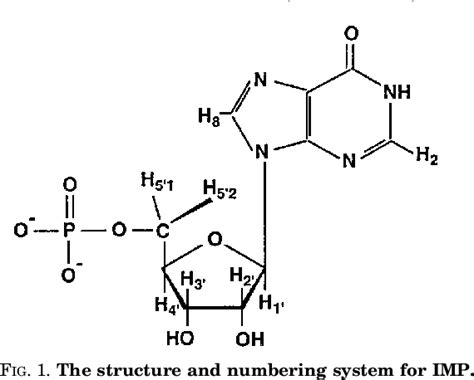 Figure 1 From The Conformation Of Inosine 5′ Monophosphate Imp Bound