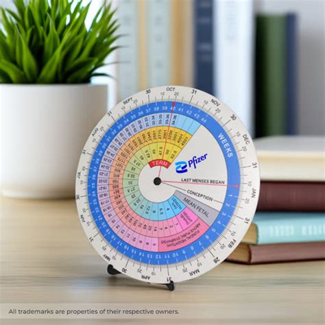 Buy Custom Wheel Chart Corporate Ts Woofernbiz