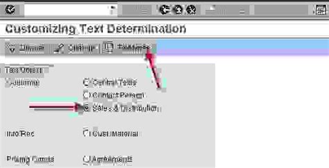 Text Determination Sap Sd