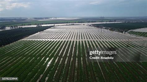 Ceyhan River Photos And Premium High Res Pictures Getty Images
