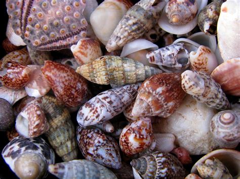 Geography Cone Wallpapers Hd 🔥 Download Free Backgrounds