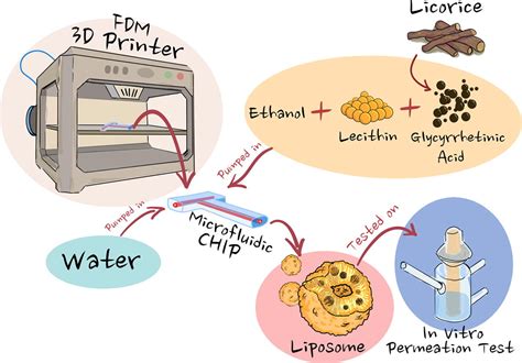 D Printed Microfluidic Chip For The Preparation Of Glycyrrhetinic Acid Loaded Ethanolic