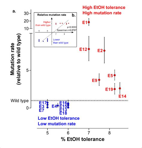 Increased Mutation Rate Underlies Evolution Of High Etoh Tolerance A Download Scientific