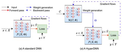 An Overview Of The Architectures And Gradient Flows For A Standard Dnn