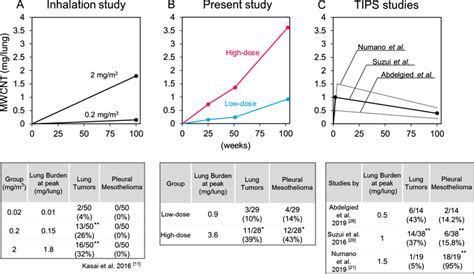 Comparisons Of The Auc Shape Of Mwcnt Lung Burden And Tumor Incidences