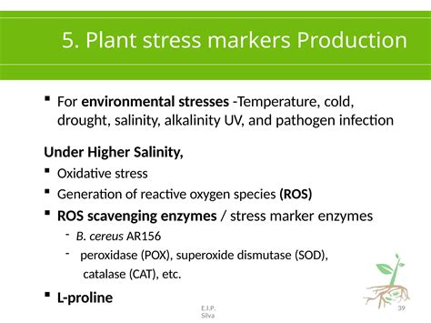 Pgpr Plant Growth Promoting Hormone Pptx