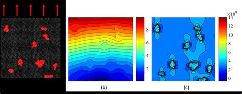 meshfree simulation of ct scanned model with 10 592 particles a