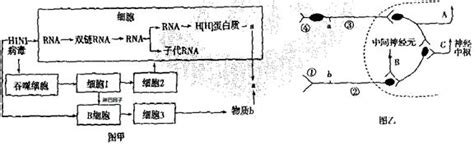 下面A图中表示某些生态系统的能量锥体图 P为生产者 Q 为初级消费者 Q 为次级消费者 B图是将A图中的各营养级所含有的能量进行分类剖析 图中a a a 表示上一年留下来的能量 假设