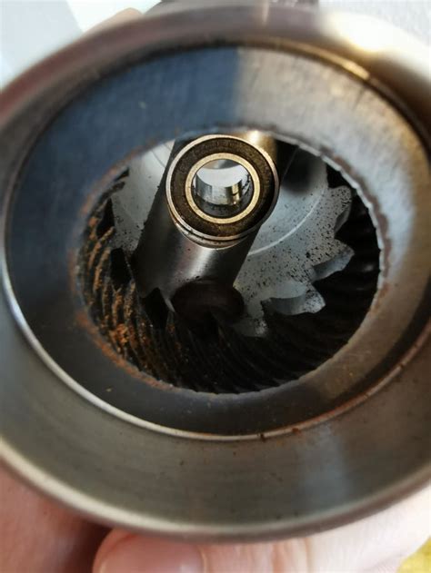 Little Bean Stuck In My Kinu M47 Respresso