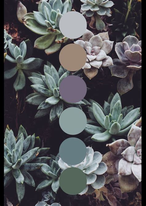 Vibrant Succulent Color Palette
