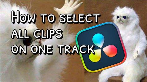 How To Select All Clips On One Track In Davinci Resolve Youtube