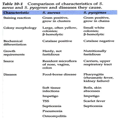 Streptococci Flashcards Quizlet
