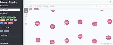 Python Neo4j建立知识图谱，药品知识图谱，neo4j知识图谱，知识图谱的建立过程，智能用药知识图谱，智能问诊必备知识图谱 Csdn博客