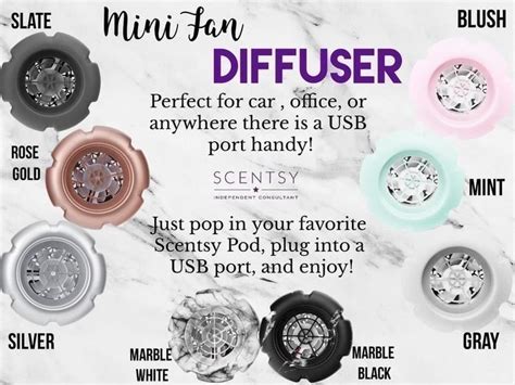 Fall Diffuser Options Artofit