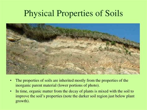 PPT - Soils PowerPoint Presentation, free download - ID:519179