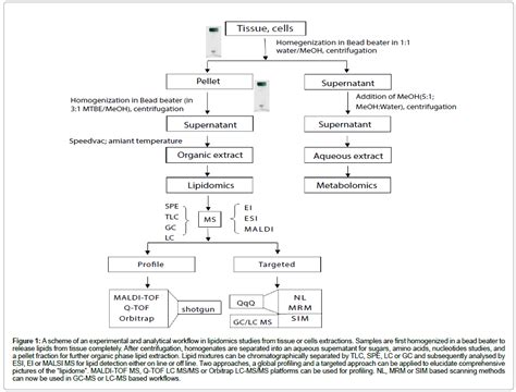 Lipidomics Techniques And Its Applications In Medical Research