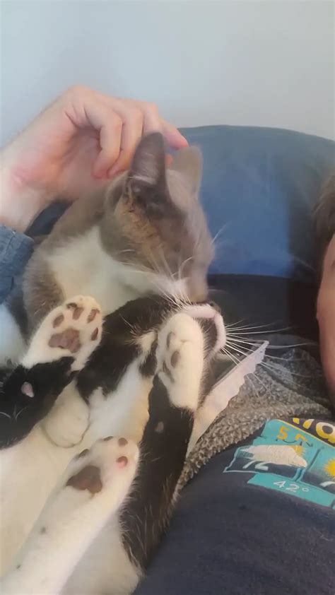 Brother Babe Bath Time Scrolller