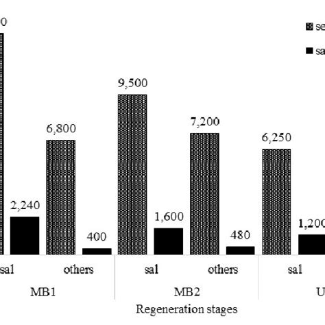 PDF Effect Of Irregular Shelterwood System Based Scientific Forest Management On Tree Species
