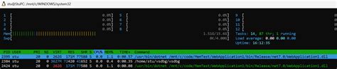 High Netcore Memory Usage Compared To Windows From An VS Template Starter App Issue