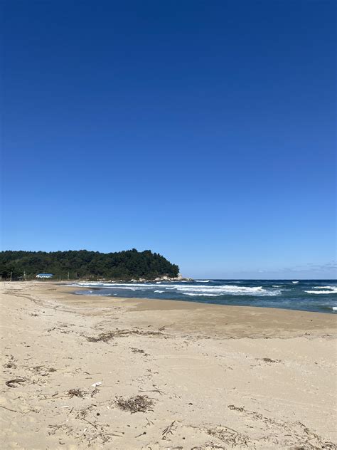 Redis Cluster Vs Redis Sentinel — 이코딩의 자동화 연구소