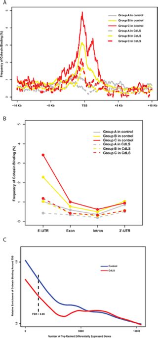 Transcriptional Dysregulation In Nipbl And Cohesin Mutant Human Cells Plos Biology