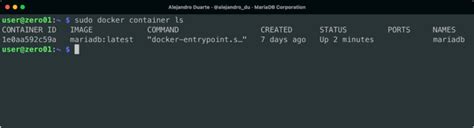 Building A Portable Database Server MariaDB