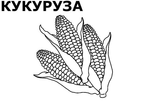 Раскраски Овощей распечатать или скачать бесплатно в формате PDF.