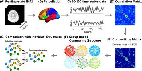 The Processing Steps Of The Community Detection Analysis For Each Download Scientific Diagram
