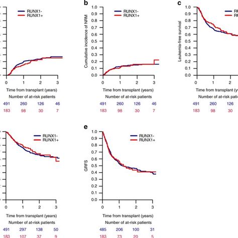 Outcome Of 674 Patients With Aml With Or Without Runx1 Gene Mutation