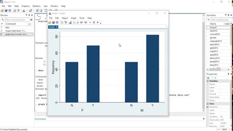 Using Stata To Create Tables And Graphs Youtube