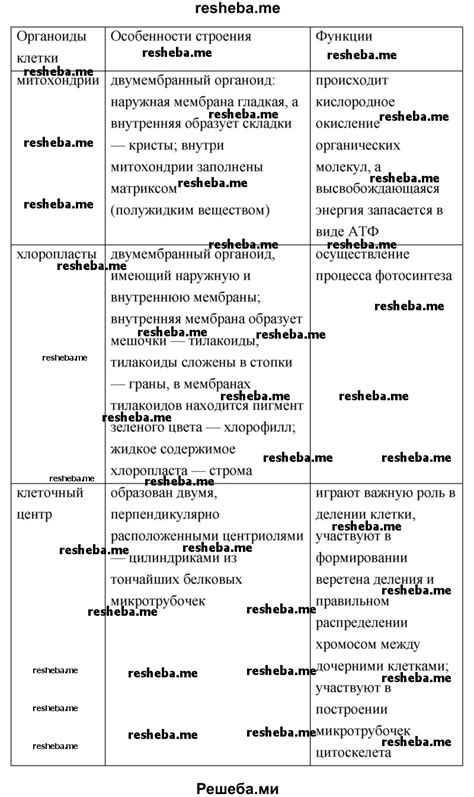 Таблица строение и функции органоидов клетки таблица с рисунками