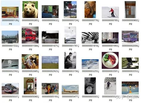 C实现coco目标检测数据集json标签文件的解析 知乎