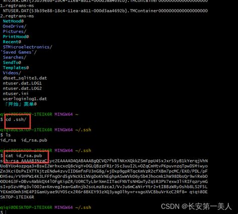 git 小乌龟一站式安装指南 前端小乌龟下载 csdn博客