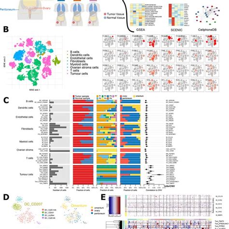 Subclustering Of Endothelial Cells A B T Sne Plots Showing