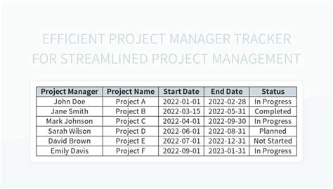 Project Management Report Ensuring Efficient And Successful Project