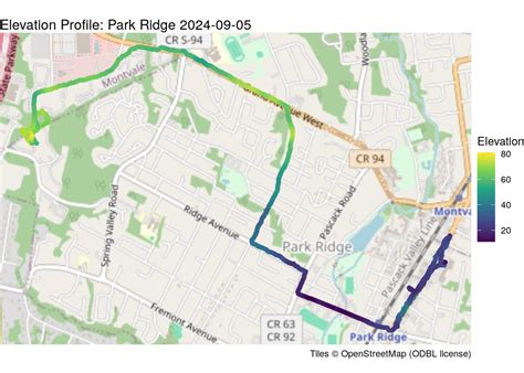 Generating Dems From Lidar Data In Qgis By Aleena Rayamajhi Medium