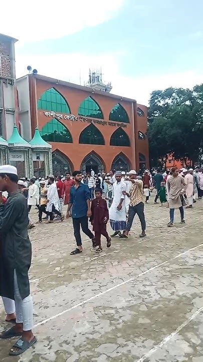 আমি নবীজির পাগল আমি মদিনার পাগল Banglasong Newgojol Quran Bangla