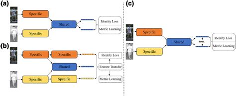 The Common Framework Of Cross‐modality Person And Cross‐modality Person Download Scientific