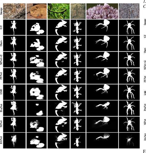 Figure 11 From High Resolution Iterative Feedback Network For Camouflaged Object Detection