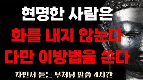 현명한 사람은 미련한 사람에게 화를 내지않는다 다만 이방법을 쓴다 Youtube