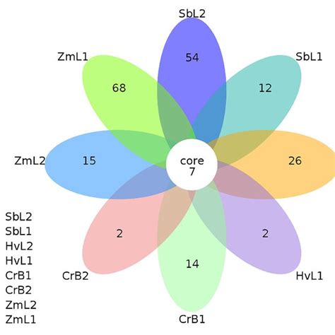 Annotations Of Kegg Predicted Functions Of Gut Bacterial Communities In