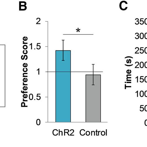 Optogenetic Stimulation Caused Cpp A Schematic Showing The Set Up For Download Scientific