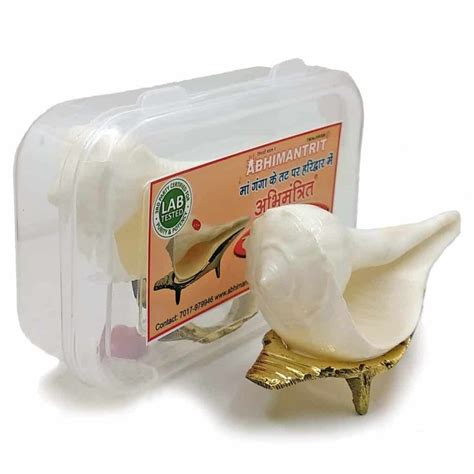 Buy Dakshinavarti Shankh Original With Stand Online At Low Price In
