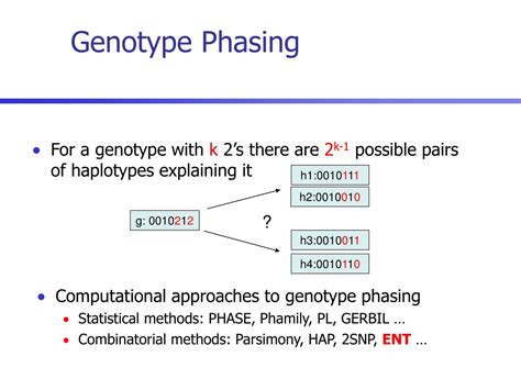 Ppt Isbra 2007 Tutorial A Scalable Algorithms For Genotype And