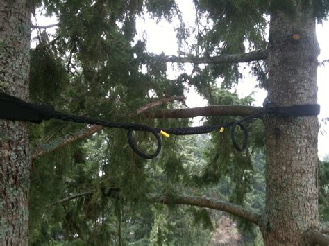 Cabling Benefits And Effects Timm S Tree Care