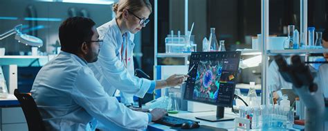 The Deployment Of ‘big Data Bench International