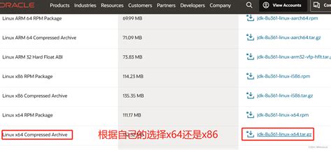 Linux中JDK下载安装环境配置详细教程 linux jdk下载 CSDN博客